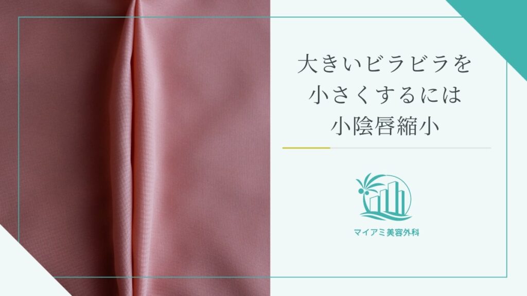 ビラビラ（小陰唇）が大きい原因は？平均や小さくする方法を解説 銀座マイアミ美容外科 4799